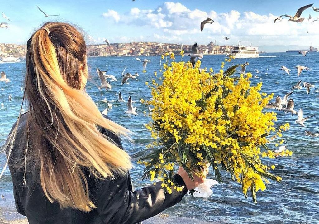 Gdje mimoza raste, vlada carstvo sunca i ljepote | Share Montenegro