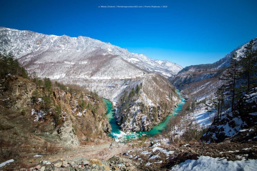 Priroda odmara: Ples divokoza u kanjonu Tare | Share Montenegro