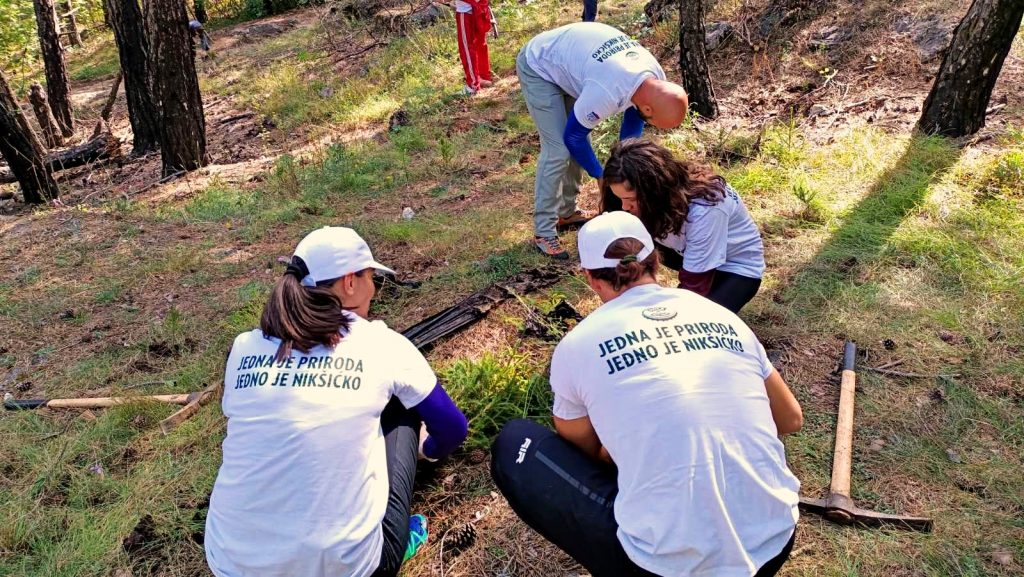 Park šuma Trebjesa zelenija za preko 500 stabala | Share Montenegro