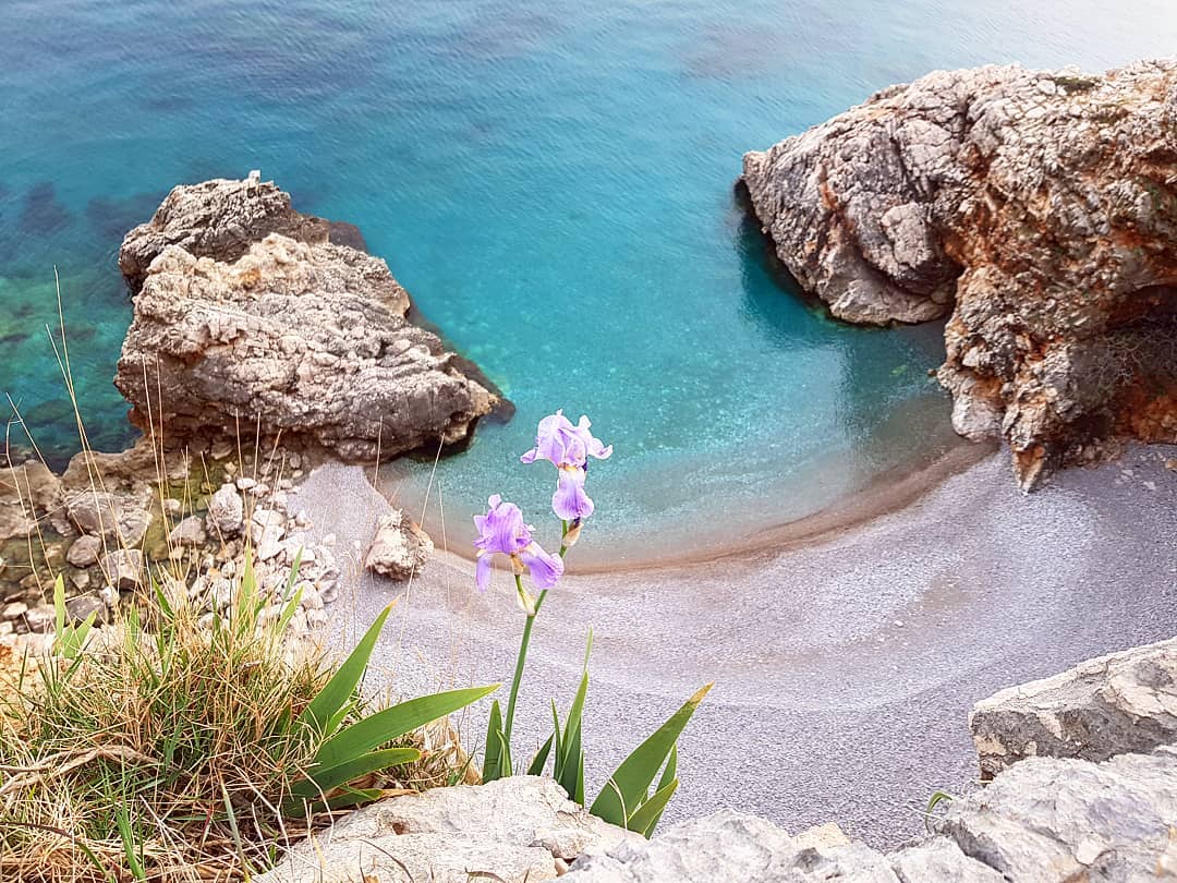 Barske plaže, istorija i gastronomija zainteresovale turiste iz ...